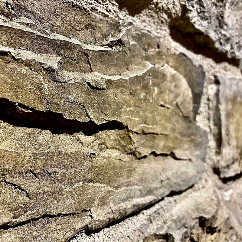 5 najčešćih zabluda o dekorativnom kamenu - Rustik kamen